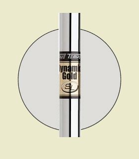 True Temper Dynamic Gold SL w/SensiCore Iron Shaft | True TemperTrue ...